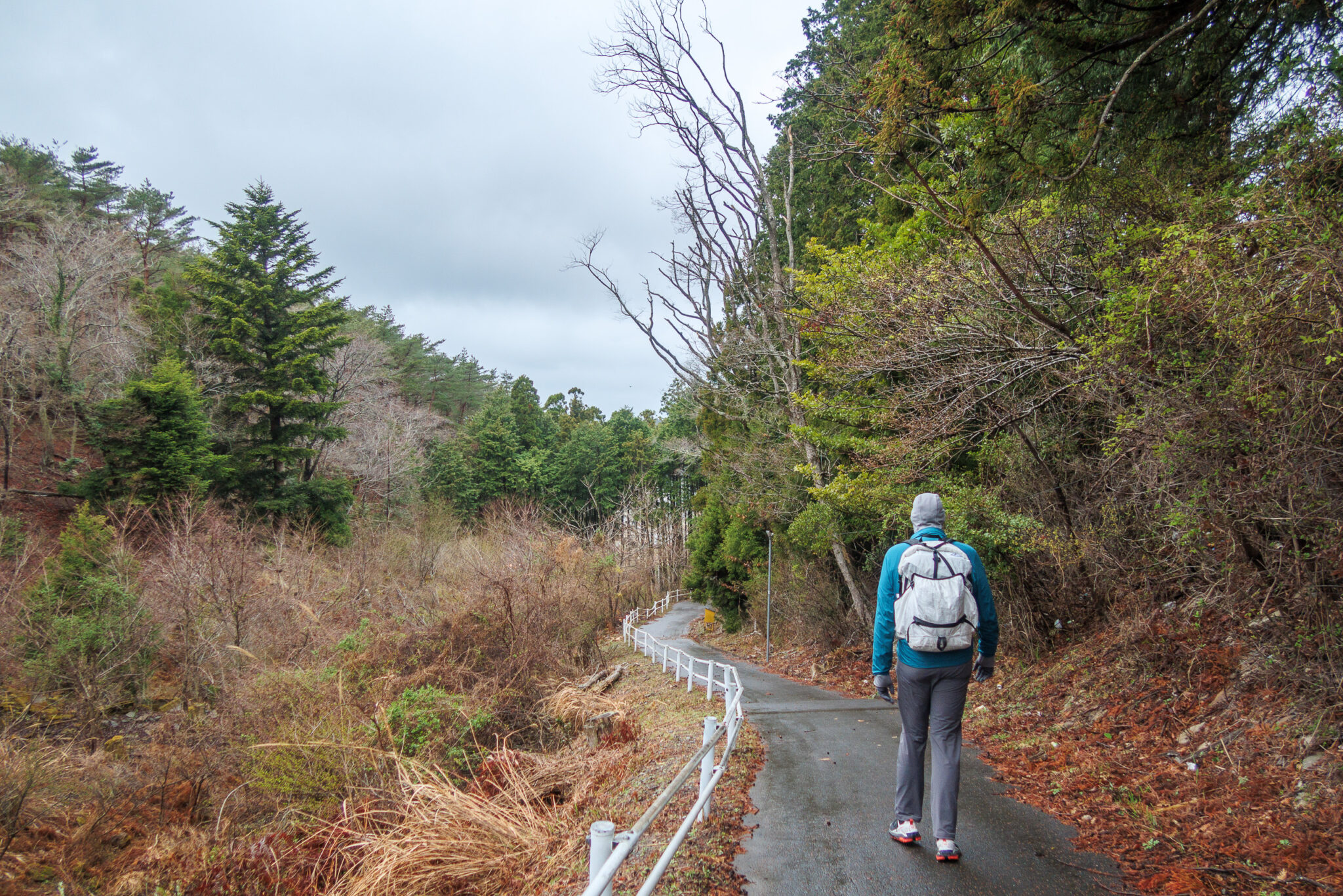 Day 11 of MCT (Michinoku Coastal Trail): The Oshika Peninsula 牡鹿半島 ...